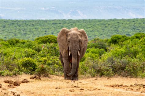 Postgresql Mutex Tips And Techniques Postgresql Dba Support