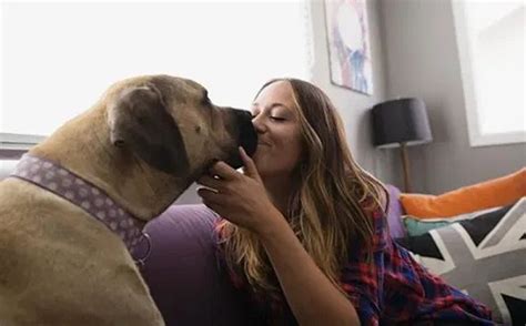 Your Dog Licks You Out Of Affection But This Can Be A Danger For Your