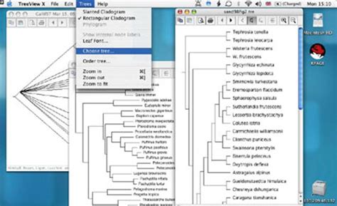 Treeview Alternatives And Similar Software Alternativeto