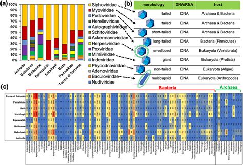metagenomic analyses of the collected biofilm samples a viral