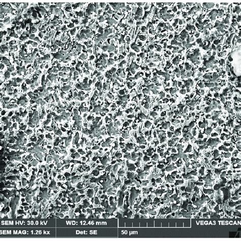 microstructure of the bm a m o × 200 b sem × 1000 download