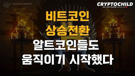 비트코인 상승 전환 알트코인들도 움직이기 시작했다 Youtube