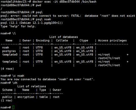 基于官方postgres docker镜像制作自己的镜像 wenbin ouyang 博客园