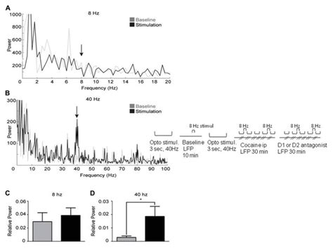 Activation Of Pv Interneurons In The Medial Prefrontal Cortex Download Scientific Diagram