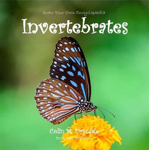 Draw Your Own Encyclopaedia Invertebrates By Colin M Drysdale English Paperba 9781909832459