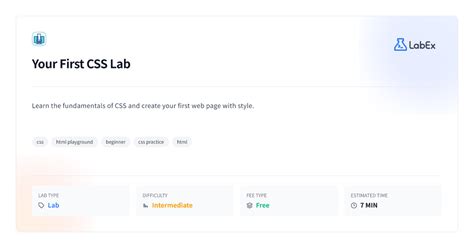 your first css lab mastering the basics labex