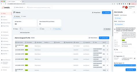 How To Investigate An Alert Unit21