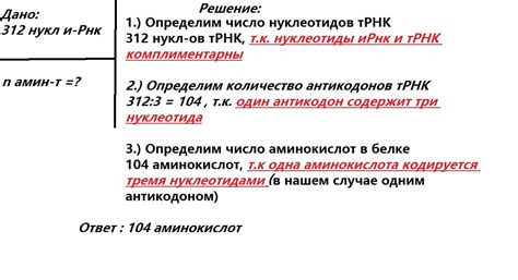 1 и РНК состоит из 312 нуклеотидов Сколько аминокислот закодировано на ней записать Школьные