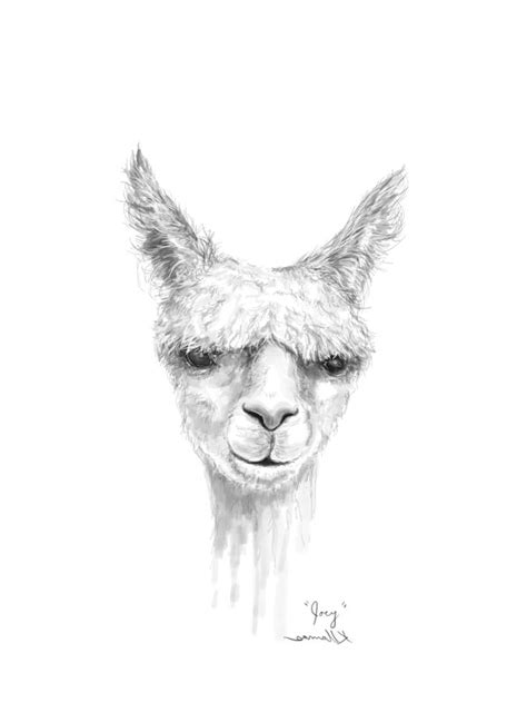 Joey Drawing At PaintingValley Com Explore Collection Of Joey Drawing