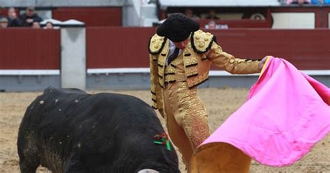 포토 스페인 투우경기 투우사의 진검 승부