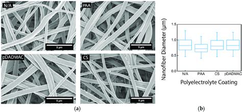 A Sem Micrographs Of Electrospun Cellulose Nanofiber Mats Without