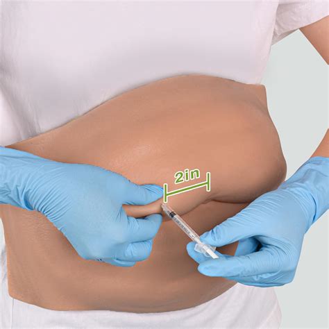Mededuquest Belly Injection Simulator Subcutaneous Injection India Ubuy