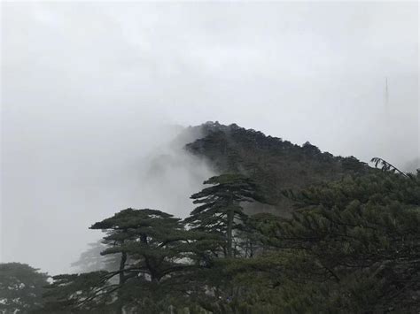 美国国家健康与营养调查（nhanes）数据库研究思路 知乎