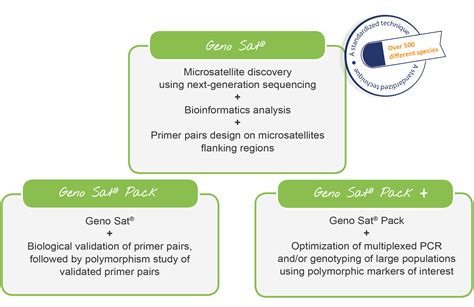 Ssr Microsatellite Genotyping