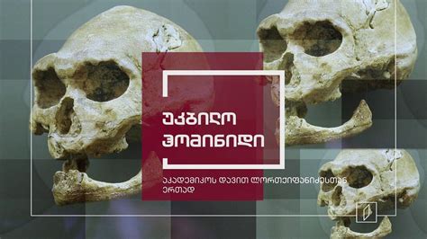 ექსპონატით მოყოლილი საქართველოს ისტორია უკბილო ჰომინიდის თავის ქალა Youtube