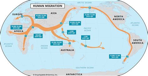 Homo Sapiens Meaning Characteristics And Evolution Britannica