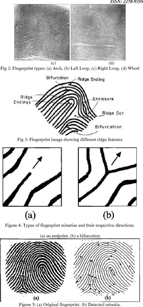 Figure 4 From Fingerprint Recognition By Classification Using Neural