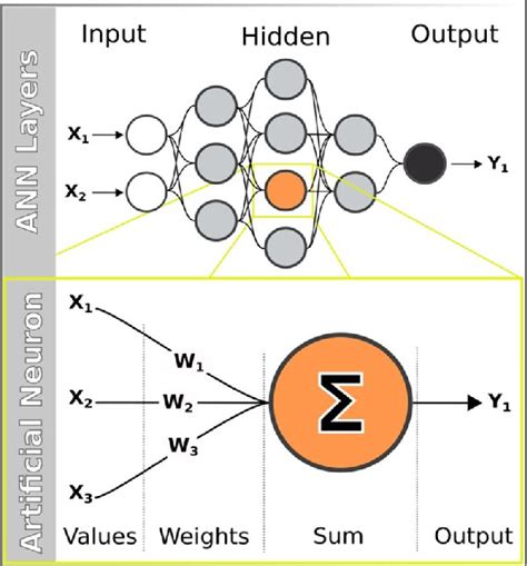 multilayer perception ann structure and artificial neuron structure