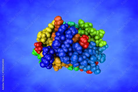 Structure Of Human Sonic Hedgehog In Complex With Zinc And Magnesium