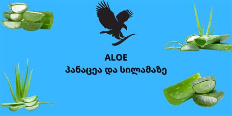 Aloe პანაცეა და სილამაზე