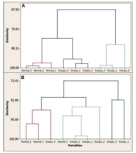 Hierarchical Cluster Analysis Of Nine Samples Into Three Clusters A Download Scientific