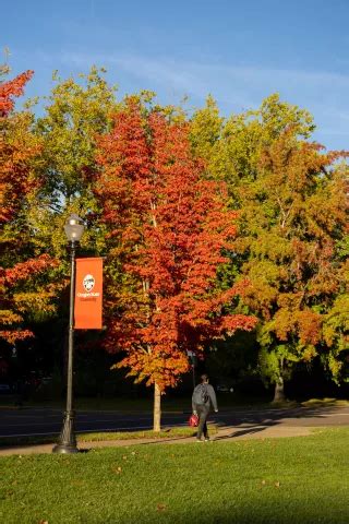 Oregon State University Enrollment Reaches A New Record Topping 36 000