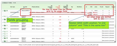 Bug In Nested Grid With Fields Grouping And Nested Grid Width Position