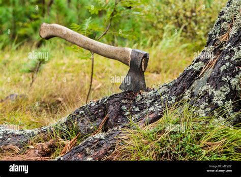 Axe Stuck In Tree Stump Hi Res Stock Photography And Images Alamy