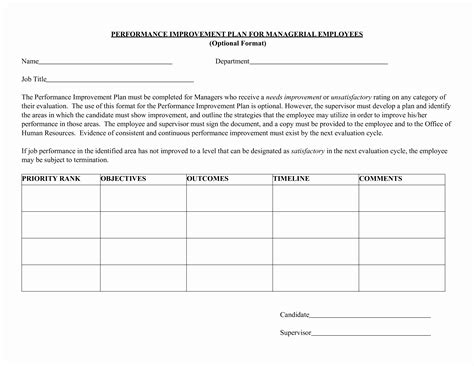 Employee Performance Plan Template