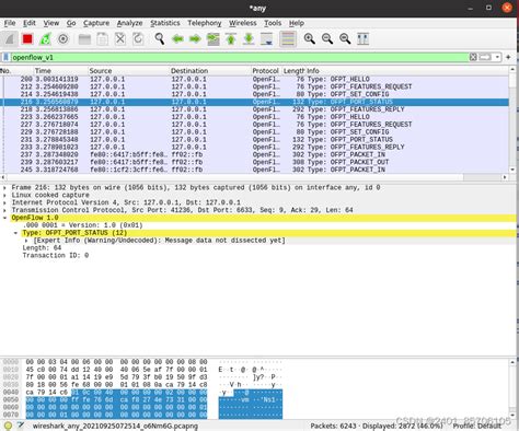 实验open flow协议分析 csdn博客