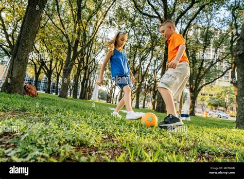 Sister Kicking Brothers Balls Telegraph