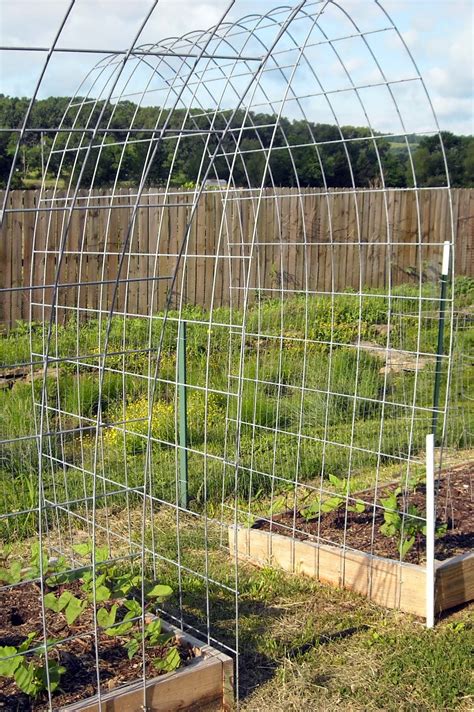 The Best Trellis Designs Organicgardening 101 Gardening