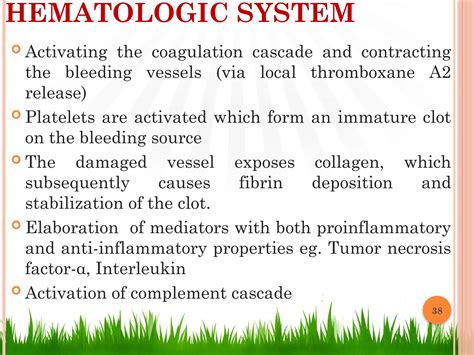 Circulatory System Disorders Diagnosis And Management Ppt