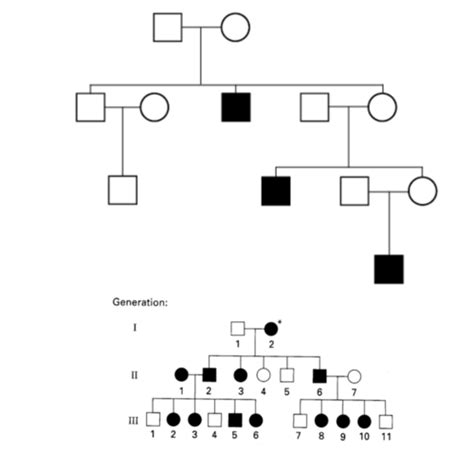 Multifactorial Inheritance Pedigree