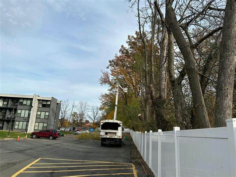 Commercial Tree Pruning In Central NJ Star Rated