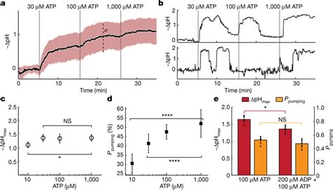 Regulation Of Functional Modes By ATP And ADP A Ensemble Average Of Download Scientific