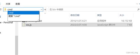 xss漏洞总结 附带burp xss检测插件使用 xss validator csdn博客
