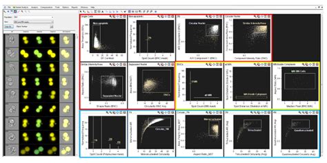 An Automated Method To Perform The In Vitro Micronucleus Assay Using