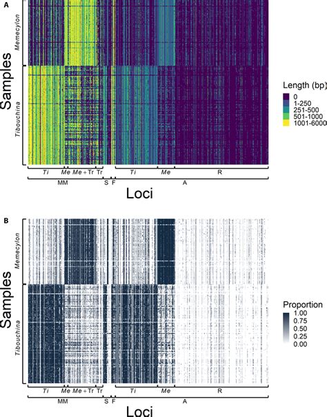 Heatmap Showing Sequencing Success Of Target Enrichment For Memecylon Download Scientific