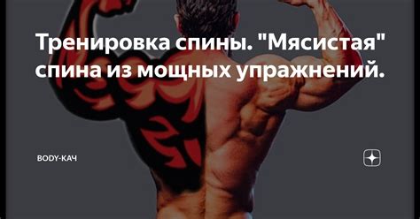 Тренировка спины Мясистая спина из мощных упражнений Body кач Дзен