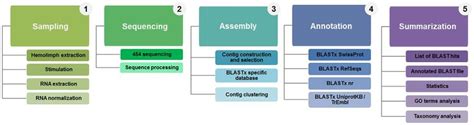 Flow Chart Summarizing Work Tasks And The Data Processing Pipeline