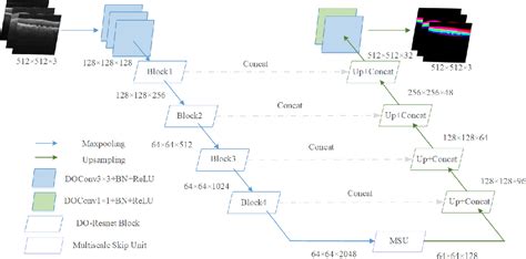 Figure 1 From Region Segmentation Of Retina Oct Image Layer Based On Ms