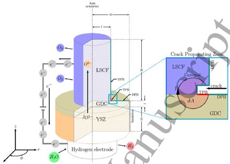 Schematic Illustration Of Microscale Cell In Electrolysis Mode With Download Scientific Diagram