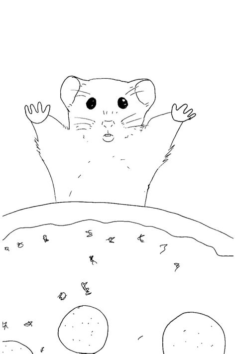 Coloriage Hamster Imprimer Gratuitement Coloriages