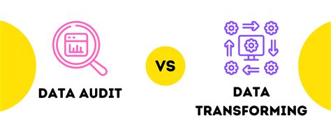 Data Audit Ensuring A Clean And Filtered Data
