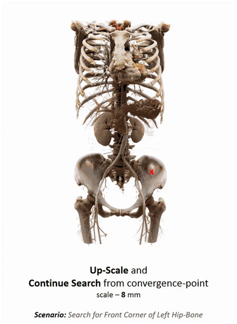 Lecture Notes In Deep Learning Known Operator Learning Part 1 Pattern Recognition Lab