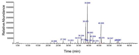 GC MS Chromatogram Of Nutmeg Ethanolic Extract GC MS Analysis Showed Download Scientific