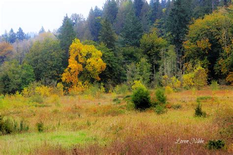 A Visit To Estacada Oregon Pictures By Loren Nibbe Facebook