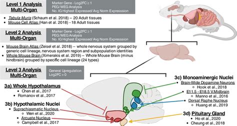 The Hierarchical Set Of Datasets In This Analysis The Datasets Are