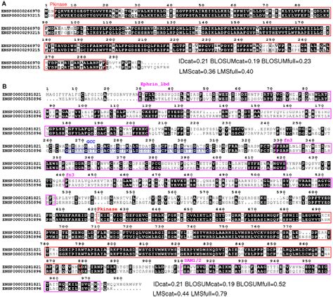 Sequence Alignment Of Selected Protein Pairs A Sequences